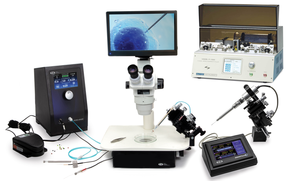 World Precision Instruments | Zebrafish Microinjection